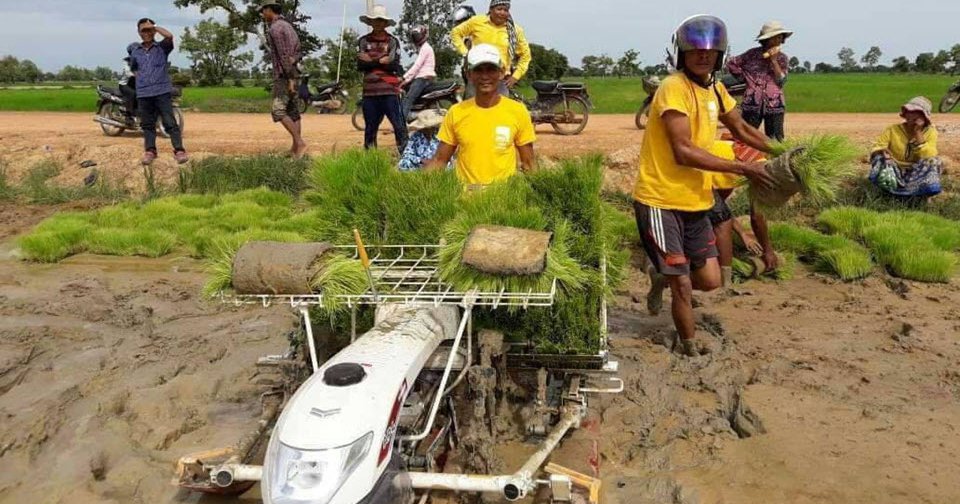 ក្រុមហ៊ុនជប៉ុន Agribuddy ជួយកសិករខ្មែរ ៦ខេត្ត ផលិតនិងនាំចេញ អង្ករប្រណីតទៅកាន់ពិភពលោក — Cambonomist